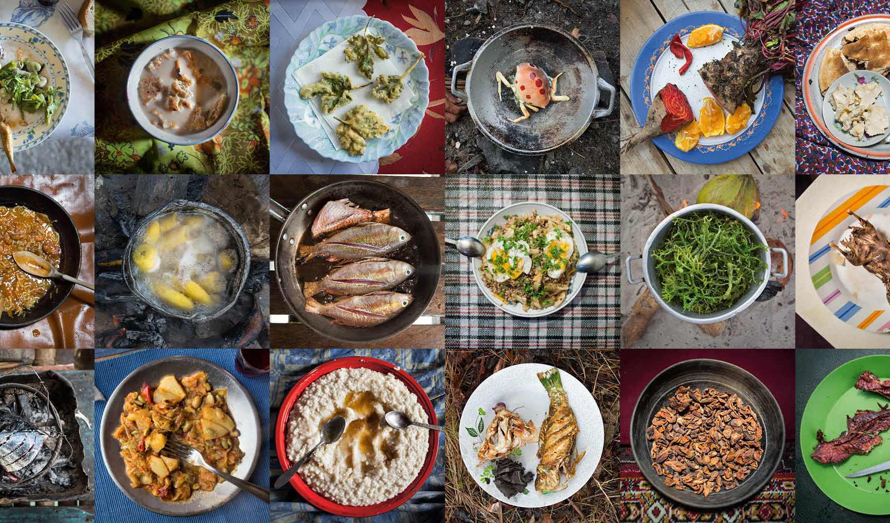 Dietary Diversity Debunked: Researchers Say Varied Diet May Lead to Obesity